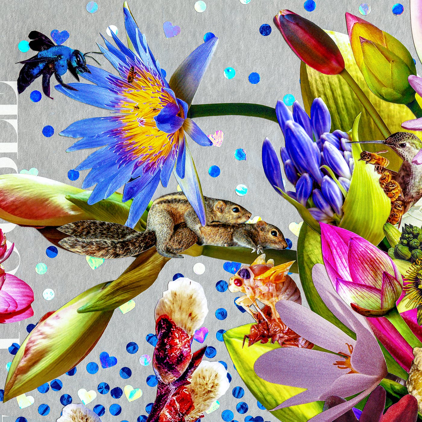 Marc Alain - Epicenter NYC